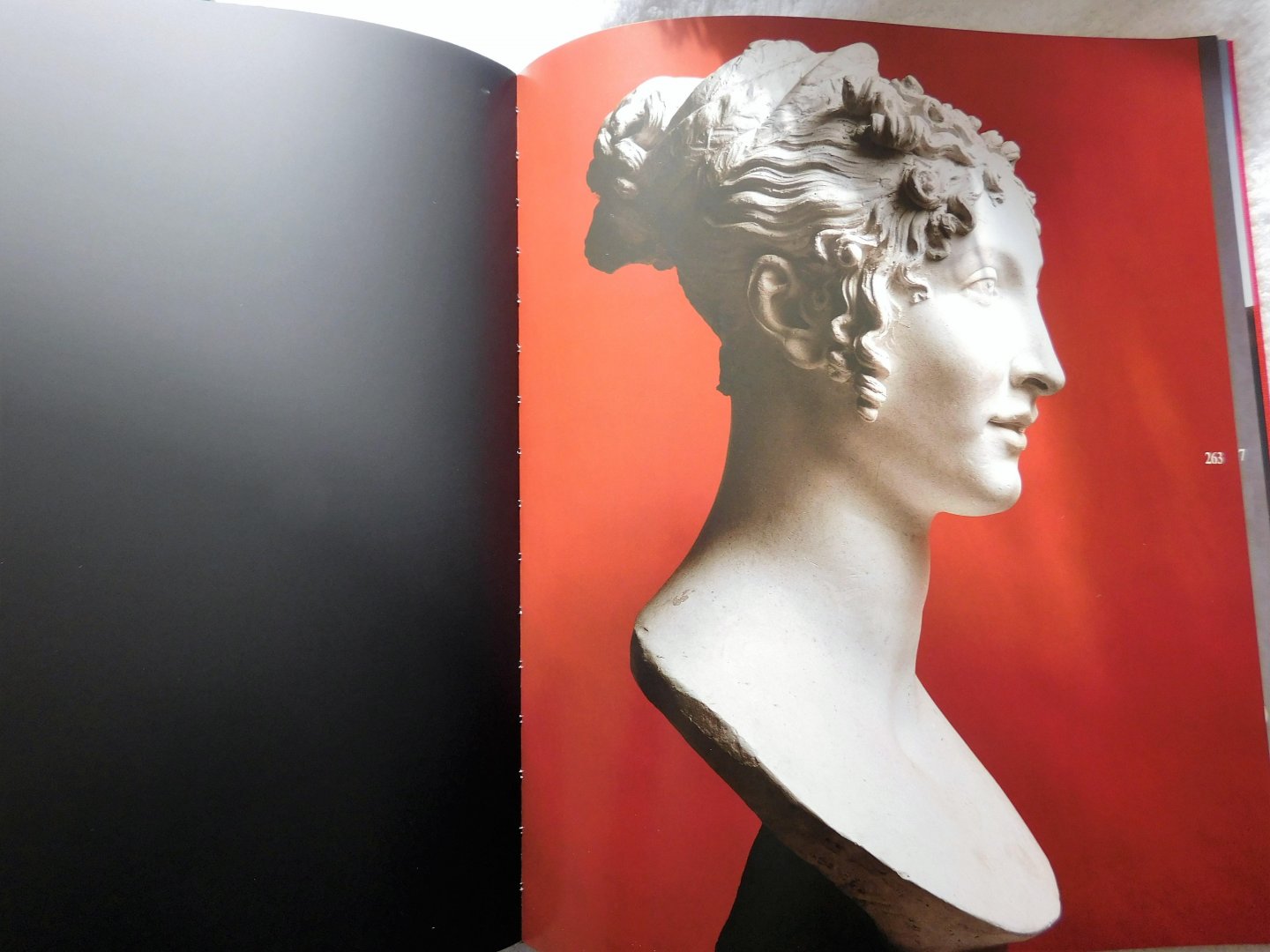 Boekwinkeltjes.nl - Paolo Marton - Canova. Scultore, pittore ...